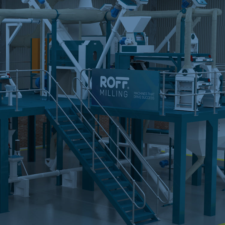 Turnkey Maize Milling Solutions | Complete Systems – Roff Milling