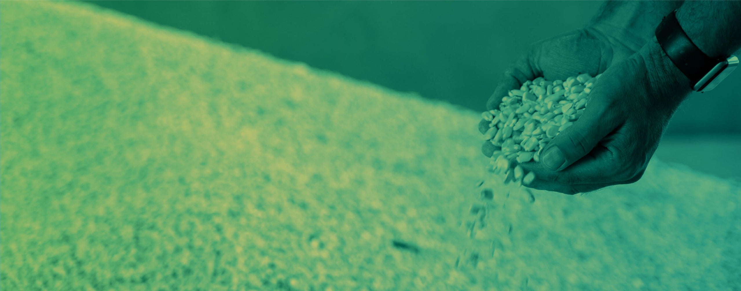 R-70 Maize Mill | 4 to 5 Ton per Hour | Milling – Roff Milling